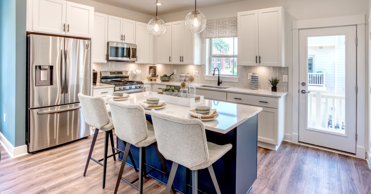 Final Selection of Townhomes Debuts In DC’s St. Elizabeths East ...